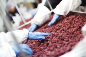 Excel Foods - Soluciones para la Industria Alimentaria