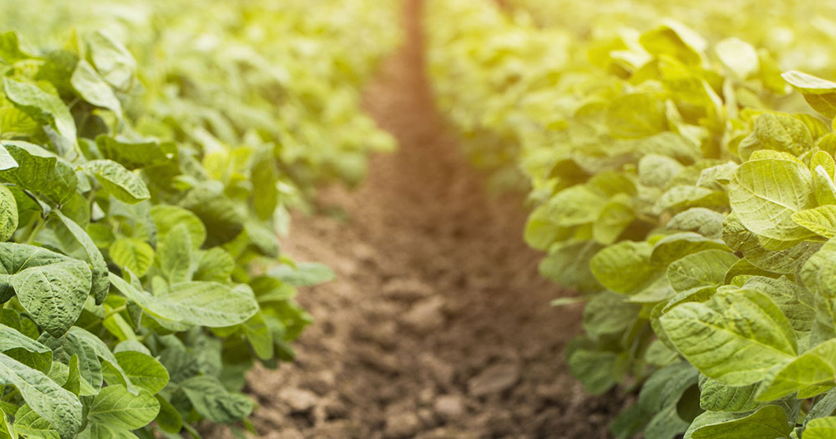 Excel Foods - Whenever and wherever you need us, we’ll be there